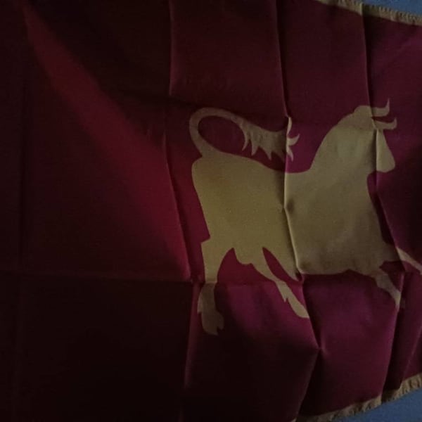 Fallout Inspired Gamer Cosplay Flags - Etsy