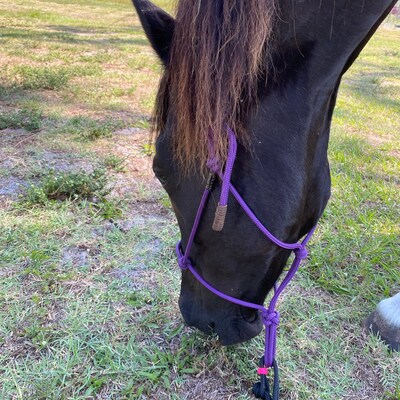 Rope Halter & Mecates Natural Horsemanship Hackamore 21 - Etsy