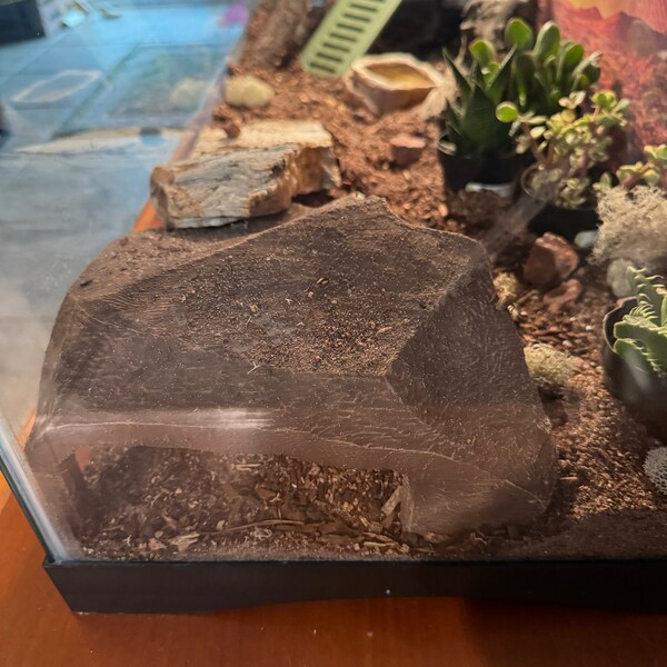 Reptile Terrarium Corner Hide Underground Corner Viewing 8"l X 8"w X 3. ...