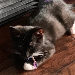 Raw Natural Crystal Key Chains/pet Collar Charms You Choose - Etsy