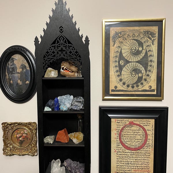 Eugerres Plumieri or Striped Mojarra X-ray. Science Art Print. - Etsy