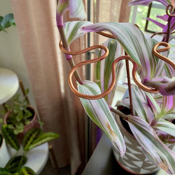 Splash Plant Stick Minimal Plant Trellis, Copper Plant Stick, Plant Pot ...