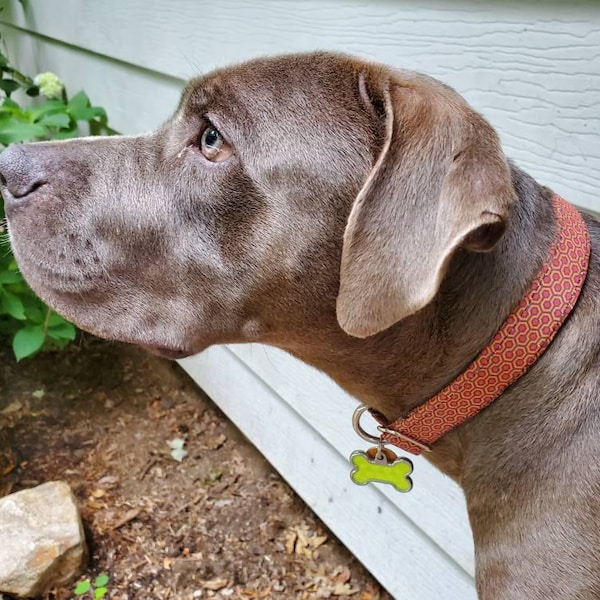 Redrum - Stylish Shining Halloween Dog Collar - Etsy