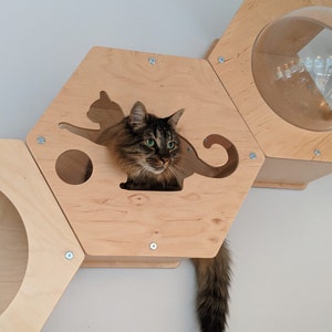 8 Pieces Cat Playground Unique Space for Your Cat Cat Wall | Etsy