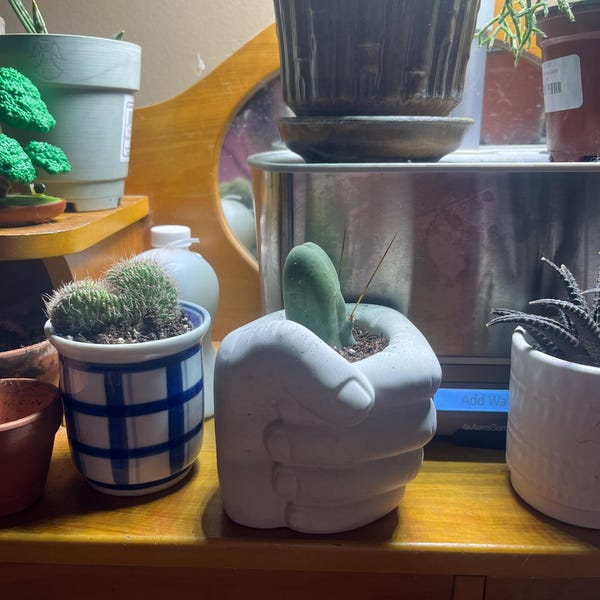 Cement Hand Planter | Concrete Hand Pot | Hand-shaped Planter | Unique ...