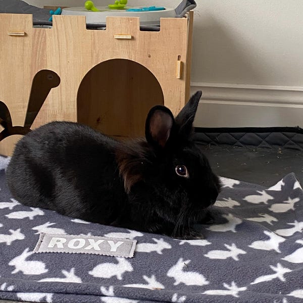 Padded Cotton Blanket Set for Ikea Dolls Bed Bunny Rabbit Blanket Pet ...