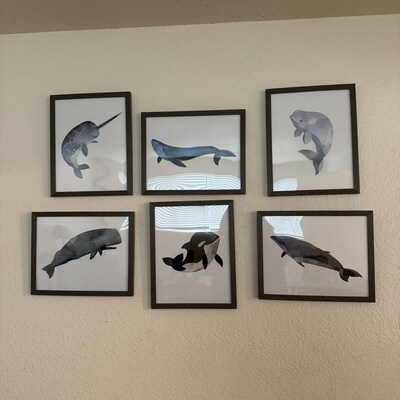 USA Map Education Printable United States Colorful Homeschool Learning ...