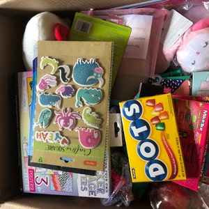 Mystery Plushie Surprise Stuffy Stuffie Stuffed Animal Littlespace ...