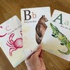 Underwater World: A-Z Educational Aquatic Alphabet Flash Cards - Etsy UK
