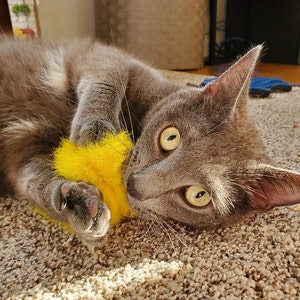 Bouncy Ball Real Rabbit Fur String Cat Toy - Etsy