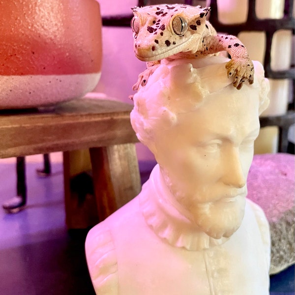 Vintage Bowl With Lid in Cane Pattern, Clear Glass, Pressed Glass, Art ...