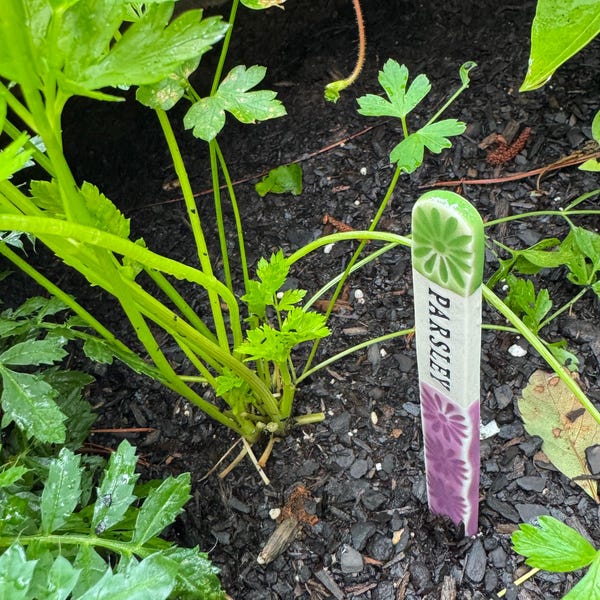 One Herb Marker // Herb Tag // Garden Label // Garden Stake // Plant ...
