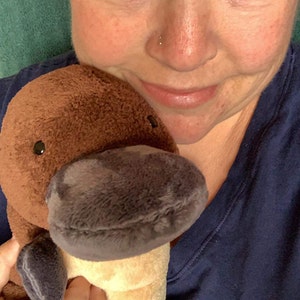 Soft & Squishy Platypus Plush - Etsy