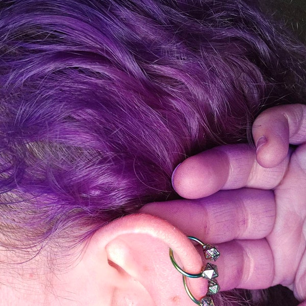 16G Abalone Shell Moth Septum Ring/hinged Segment Septum Clicker/daith ...