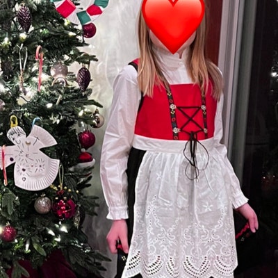 Norwegian Hardanger Style Costume Bunad Festdrakt Dress for Girls - Etsy