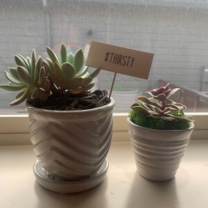 Basketball Arena Map Custom Bucket List Map, NBA Arenas, Gift for ...