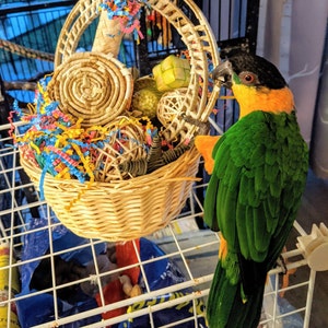 Picasso Picker Bird Toy | Etsy Canada