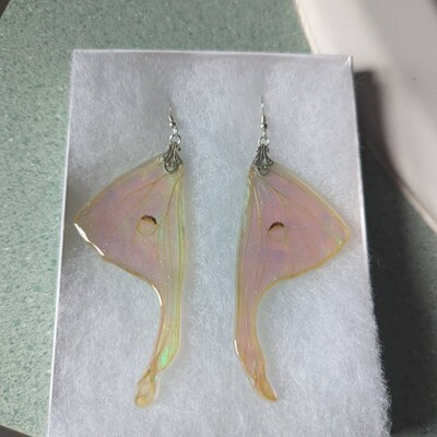 Extra Large Cicada Wing Fairy Earrings Real Insect Wing - Etsy
