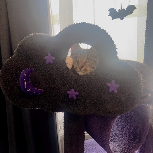 Magical Purple Moon Cat Toy With White Embroidered Stars, Witch Catnip ...
