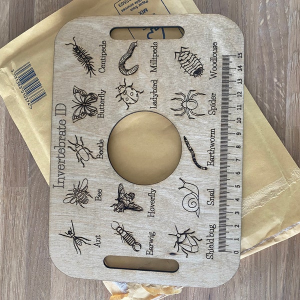 Portable Insect Bug Box Collection Box Parent-child Outdoor Forest ...