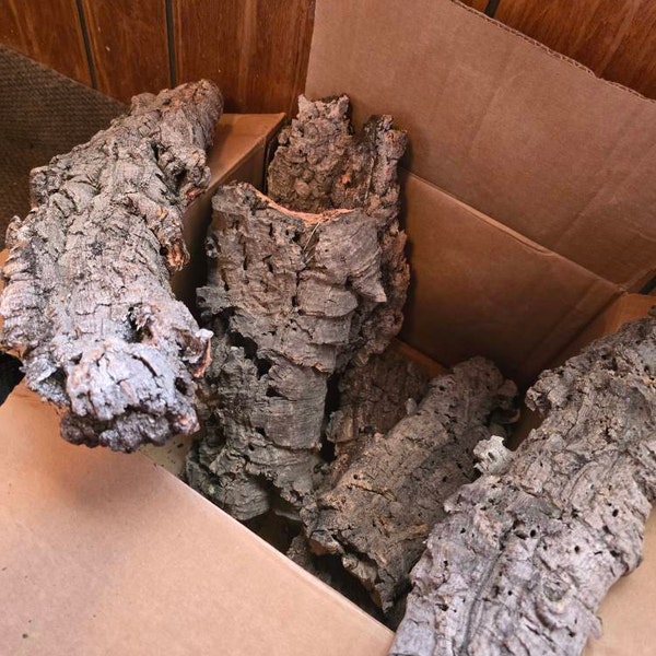 Bulk Cork Bark Flats - Terrarium Vivarium Orchid Air Plant Mount ...