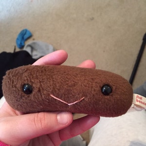 Guinea Pig poop plush Stuffed animal poo plushie Kawaii | Etsy