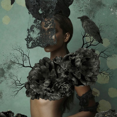 35 Realistic Raven Photoshop Overlays, Photoshop Overlays Bird, Crow ...