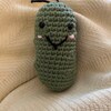 PATTERN ONLY, Easy Pickle Crochet Pattern, Instant DOWNLOAD - Etsy