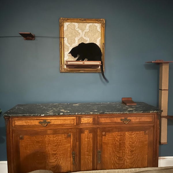 Wall Mounted Cat Scratching Post, Modern Cat Wall Furniture, Cat ...