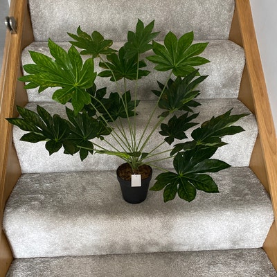 130cm Artificial Princess Palm Tree Natural Trunk - Etsy