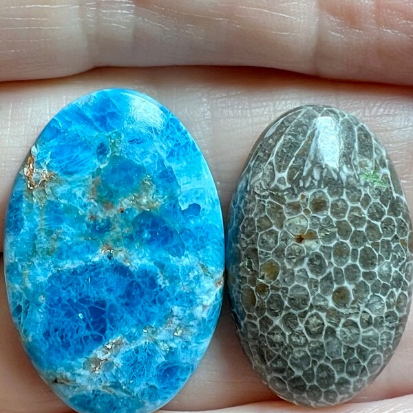 Montana Agate Pair Montana Agate Gemstone Pair Matching Pair Montana ...