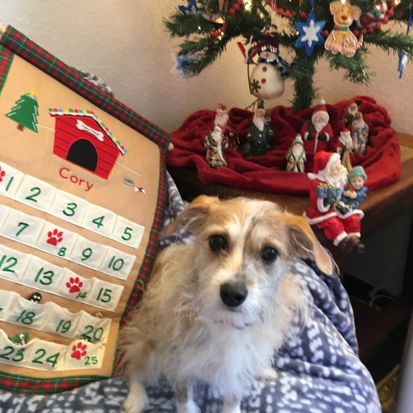 Personalized Dog Advent Calendar - Pet Christmas Countdown for Family ...