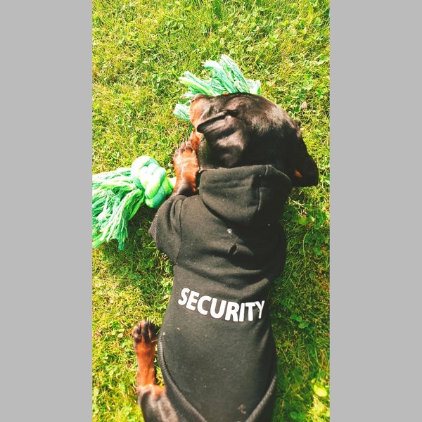 SECURITY Dog Sweatshirt Hoodie - Dog Sweater - Dog Jumper - Printed Dog ...