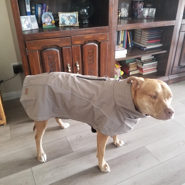 Waterproof Dog Jacket: Harness Zipper, Adjustable Fit, Personalized - Etsy