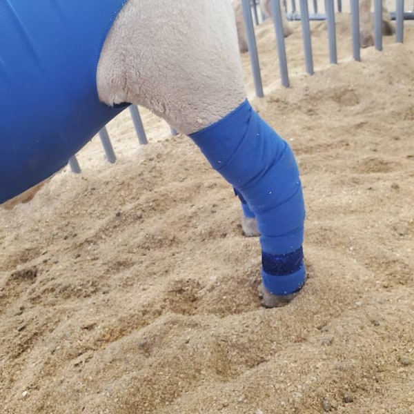 Sheep Leg Wraps, Goat Leg Wraps, Mini Horse Leg Wraps, Glittery Wraps ...