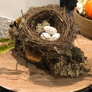 Dried Yarrow Stalks Stems Sticks Achillee Divination I Ching 8 | Etsy