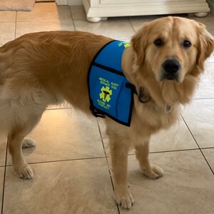Emotional Support Cat Vest | Etsy