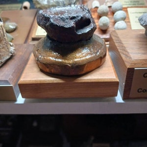 Clay Pipes 1850s 1870s Period - Etsy