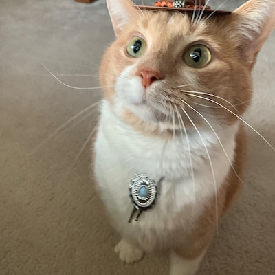 Marine Captain Mini Hat Cat Captain Hat Original Design - Etsy