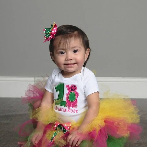 Barney Tutu Set, Barney Tutu, Barney Birthday Outfit, Barney Birthday ...