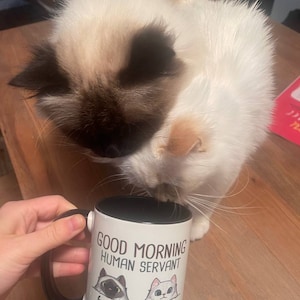 How Helicopters Fly Mug, Pilot Mug, Pilot Gift, Coffee Mug, Pilot ...