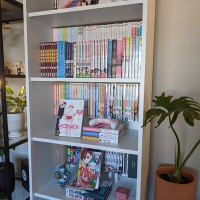 Shelf Riser for Displaying Two Rows of Books on a Single Shelf ...