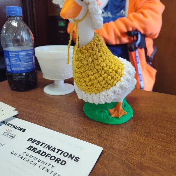 Desk Goose Bee Costume, Cute Desk Goose Bee Outfit, Handmade Bee Outfit ...