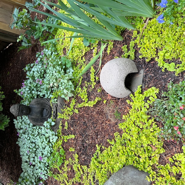 Hypertufa Toad House, Toad Abode, Frog Home, Handmade Outdoor Decor ...