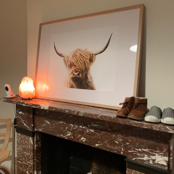 Highland Cow Print - Printable Wall Art ~ Colour Cow Photography Poster ...