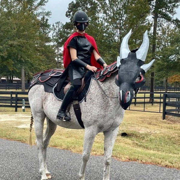 Dragon Knight Horse Chanfron - Cut Back Style - Pattern - Etsy