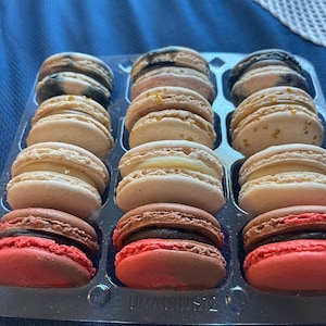 Zoo Animals French Macarons 12 or 24 Choose Your Flavors Elephant ...