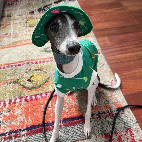 Italian Greyhound Sun Hats & Matching Tops - Etsy