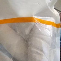 White Kola Nuts/ 5 Pieces - Etsy