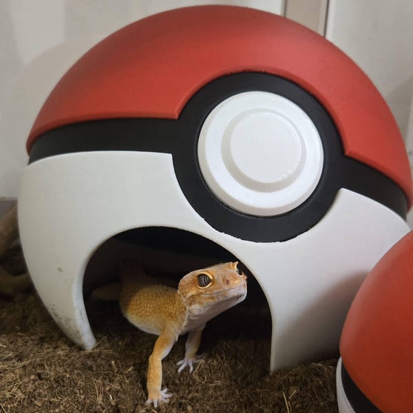 Reptile Climbing Ramp, Bearded Dragon Basking Platform, Rock Wall ...